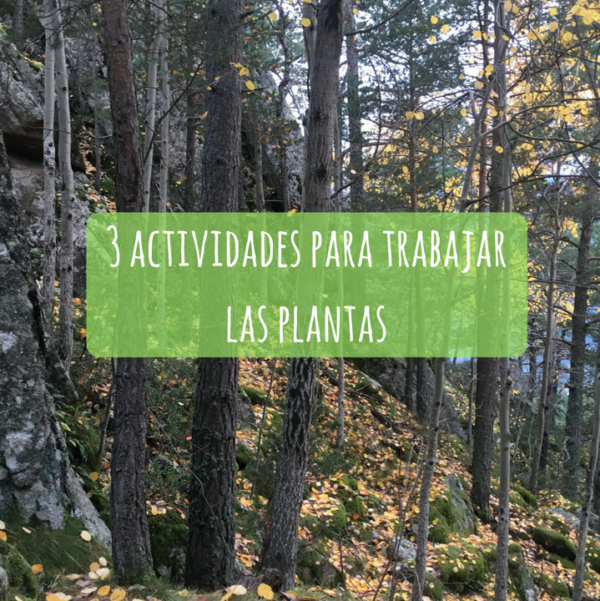 3 actividades para trabajar las plantas | Profes en Apuros